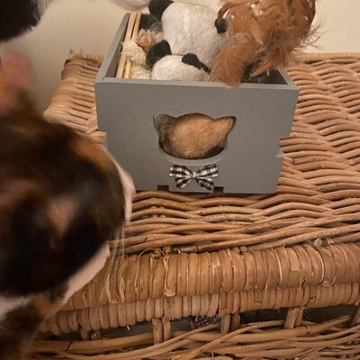 Cat Toy Box Personalized Size XS, Cat Toy Storage, Cat Furniture ...