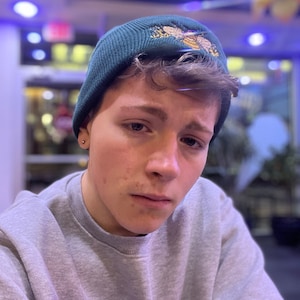 Olive Moth Mushroom Embroidered Crewneck Unisex Embroidered - Etsy