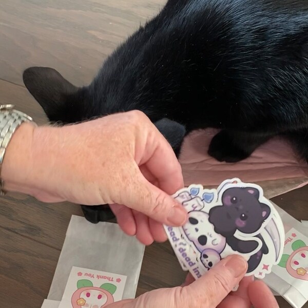Skull Kitty Sticker | Halloween Sticker | Creepy Cute Sticker | Cute ...