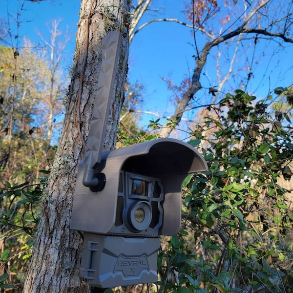 SPYPOINT Link LM2 Cellular Trail Camera Snow Ice Rain Sun Glare ...