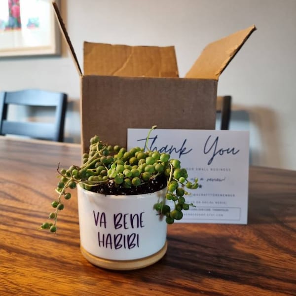 Your Custom Text Succulent Planter, Small Planter, Ceramic Planter Pot ...