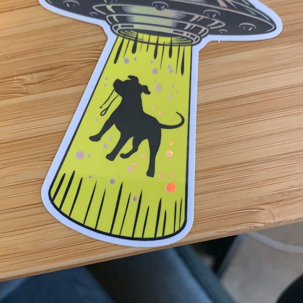 Flailing Cat / UFO Abduction Sticker Holographic Decal Graffiti - Etsy