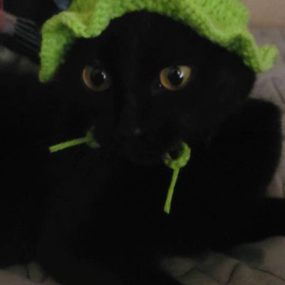 Adjustable Cute Crochet Soft Ribbon Kitten Collar Pet Costume - Etsy