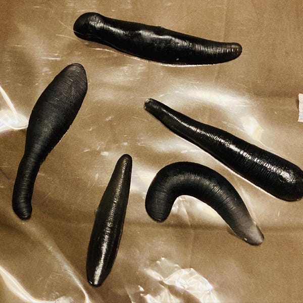Larp Safe Rubber Leeches, Larp Medic, 5 Pack, Leach Healer, Plague ...