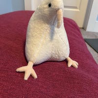 Elephant Shrew Stuffed Toy - Native African Animal Shrew Plush - Sengi ...
