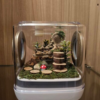 Jumping Spider Enclosure 5x5x9 Spider House, Spider Tank, Spider ...