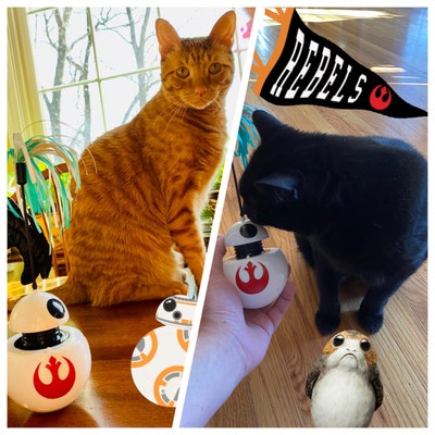 Custom C Series Droid Panels - Etsy