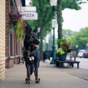 K9 German Shepherd Vest Patch K9 Patch German Shepherd - Etsy