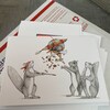 Squirrels Play Piñata Birthday Card, Funny Birthday Card, Squirrel ...
