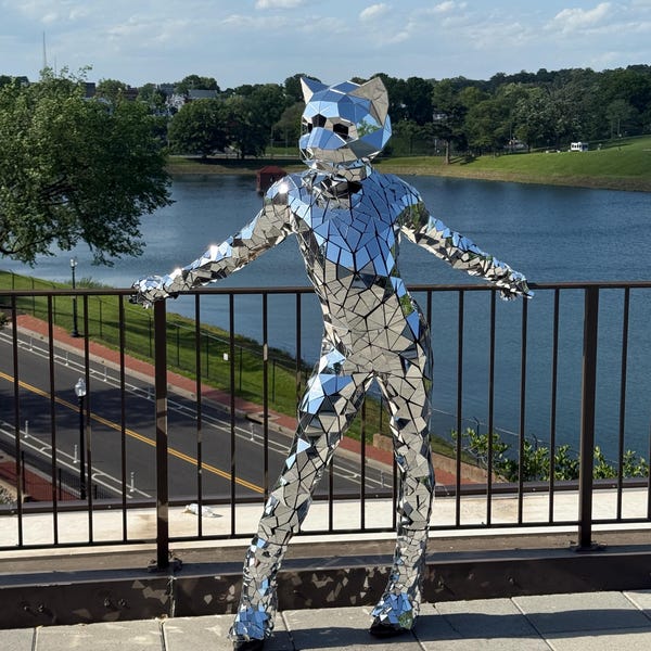 Silver Mirror Jacket / Glass Man Performance Christmas Costume / Broken ...