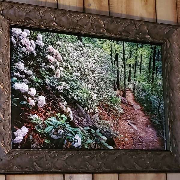 Autumn Homestead in the Smoky Mountains Fine Art Photo From William ...