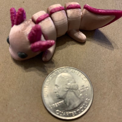 Articulated Axolotl, Fidget Toy, Tiny Axolotl, Desk Fidget Toy ...