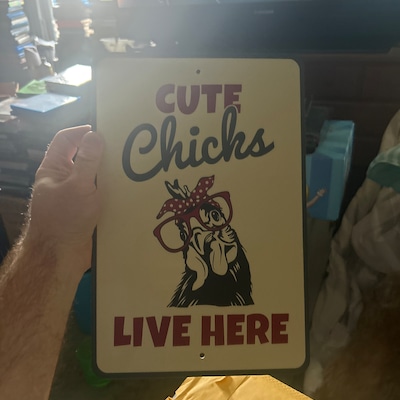 Cute Chicks Sign, Sign for Chicks, Farmers Coop, Chicken Home, Chick ...
