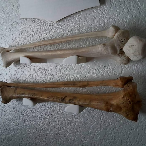 Traditional Flute Wall Display Holder / Flute and Whistle Rack Stand ...