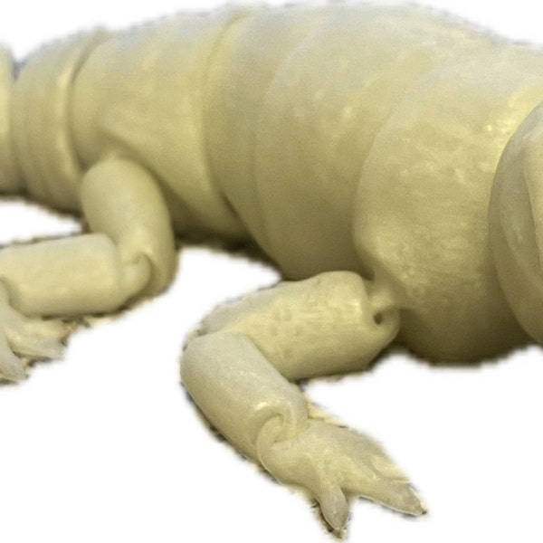 Leopard Gecko Digital .STL File for 3d Printing, Articulated Fidget ...