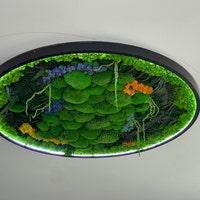 Wall Moss Ceiling Tiles Panels Moss Ceiling Panels Natural Dried Moss ...