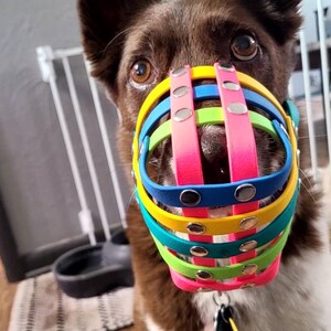 Biothane Basket Dog Muzzle Open Nose Adjustable Extra - Etsy