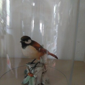 Vintage Maruri Porcelain Blue Tit Bird, Porcelain Figurine - Etsy