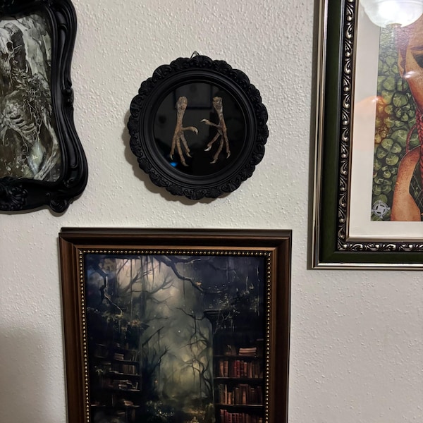 7-10 Hanging Light Puffer Fish Real Blowfish Lamp Taxidermy Animal ...