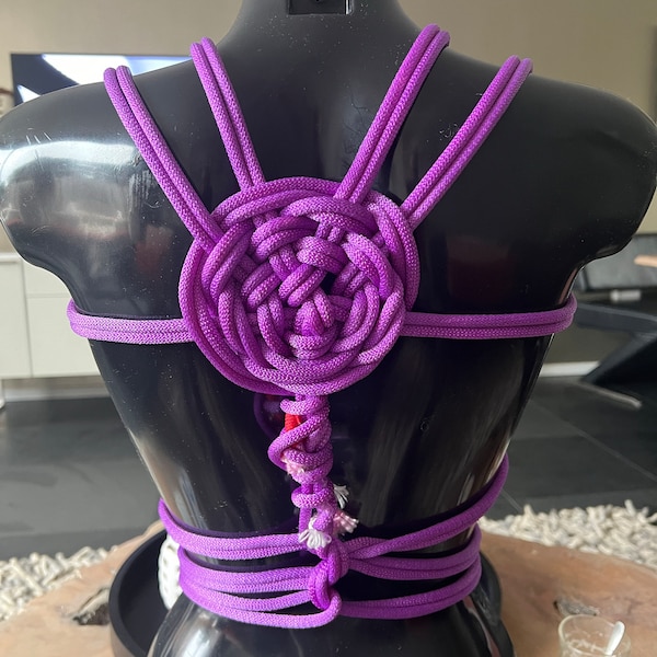 Fiddle, Pillory, Cangue, Rigid Steel Restraint for Neck and Wrists ...