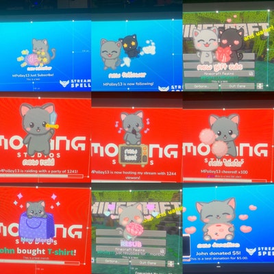 Animated Froggy Twitch Overlay / Stream Label Bar. Compatible With ...
