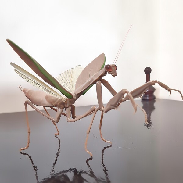 Praying Mantis Clear Albino White Insect PVC Figure W/ Movable Joints ...