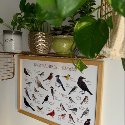 New York Backyard Birds Field Guide Art Print / Watercolor Painting ...