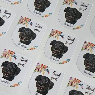 BOGO / Birthday Thank You Stickers / Birthday Stickers Personalized ...