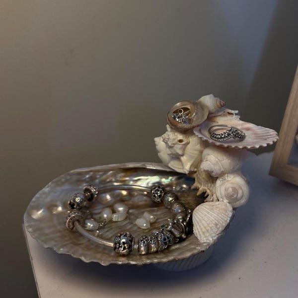 CORAL - Shell Jewelry Holder - Jewellery Display- Beach and Ocean ...