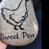 Chicken Pet Memorial Stone, 5”/6" Only, Hen, Rooster, Silkie, Outdoor ...