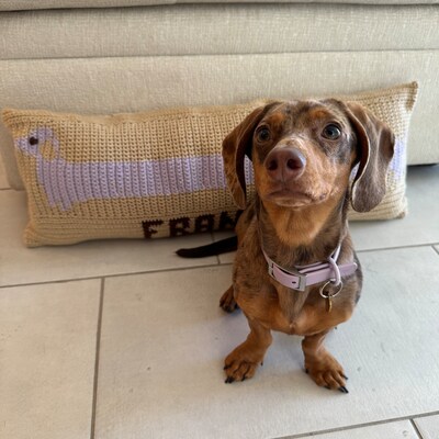 Handmade Sausage Dog Scarf Cute Crochet Scarf Ready to Order Weiner Dog ...