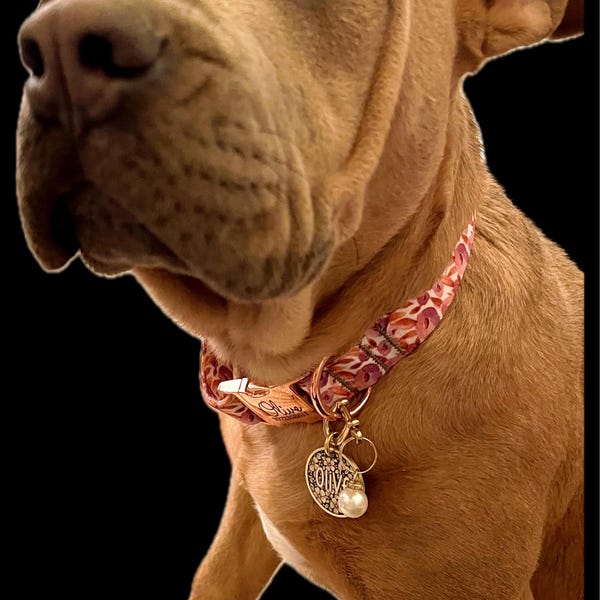 Cowgirl Chic Dog Collar Western Collar Customized Pet Collar Country ...