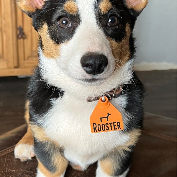 Custom Dog Tag Allflex Livestock Tags - Laser Engraved Personalized Pet ...