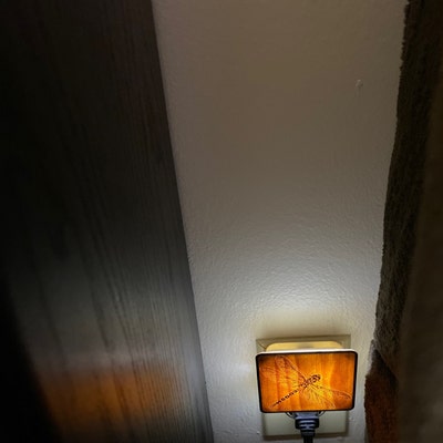 Dragonfly Night-light Wall Art Bug Insect Lamp - Etsy