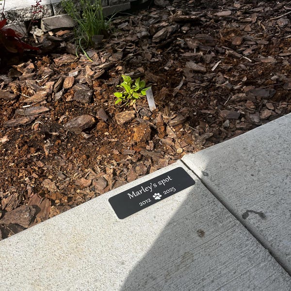 Tree Plaque Marker Metal Garden Sign 5x3" With 12" Stake, Metal Name ...