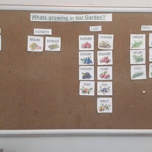 Watercolor Garden Plant Labels Clipart - 6 A4 Pages, Printable Herb ...