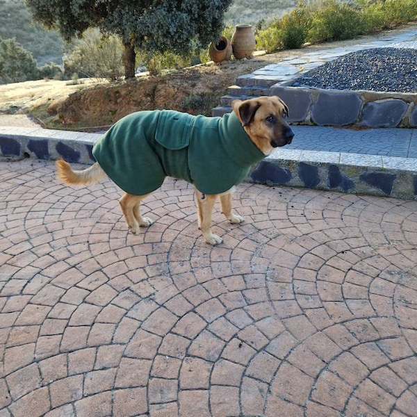 Great Dane Coat, Great Dane Fleece Coat, Dog Trench Coat, Fleece Dog ...