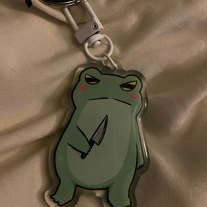 Cool Frog License Acrylic Keychain Cute Sparkly Frog Pink Keychain - Etsy