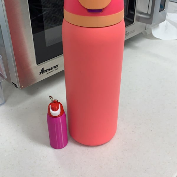 Owala Inspired Tumbler Keychain With Removable Lid Gift Holiday ...