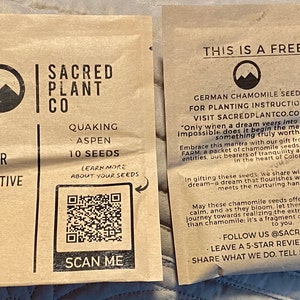 Irish Moss Seeds Irish Moss Ground Cover Seeds Sagina Subulata Seeds ...