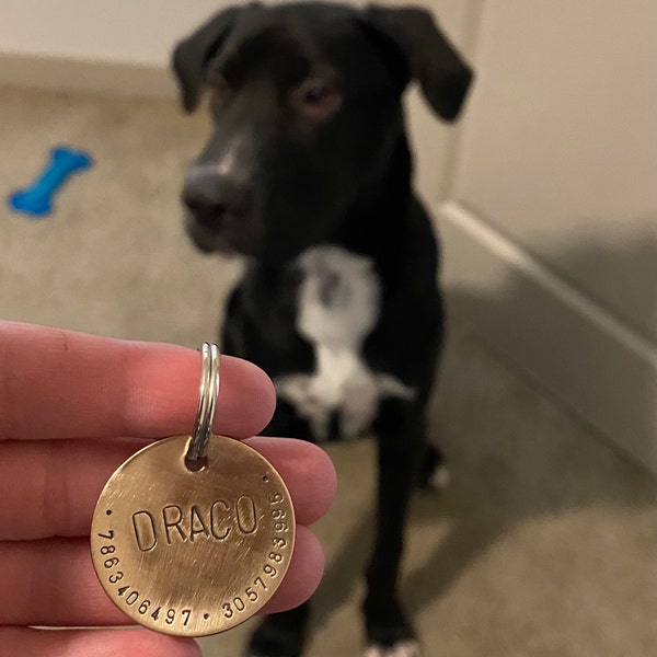 Custom Dog Tag / Custom Pet ID Tag - Lucy - in 1.25'' Domed Bronze ...