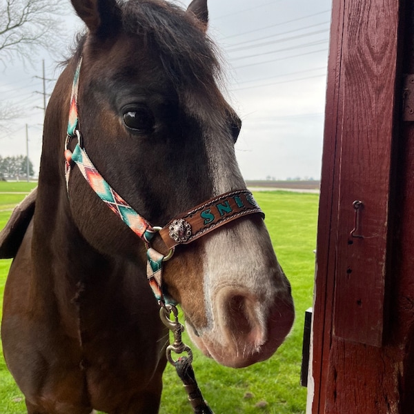 Personalized Aztec Print Horse Halter - Etsy