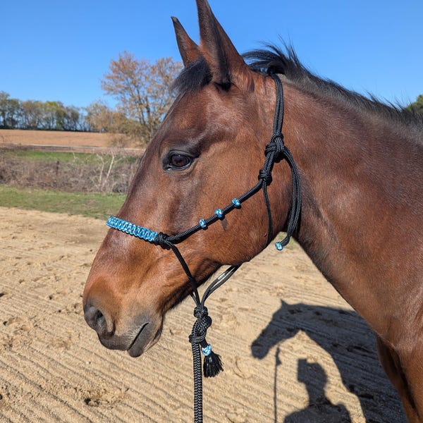 Rope Halter & Mecates - Natural Horsemanship Hackamore - 21 Colors - 2 ...