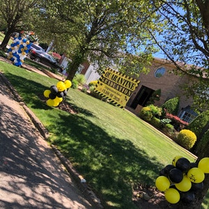 Quarantine Graduation 2020 Vinyl Banner Sign Free Overnight Shipping - Etsy