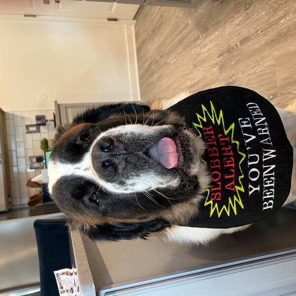 Big Dog Slobber Drool/slobber Bibs 2 Designs - Etsy