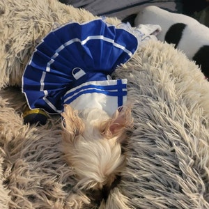 Dog Show Training Stack Box Toy Adult Size Stack Training 20 X 12 ...