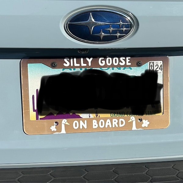 Silly Goose on Board Funny Gen Z Meme License Plate Frame - Etsy