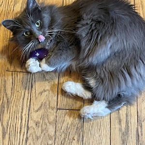 Magical Purple Moon Cat Toy With White Embroidered Stars - Etsy