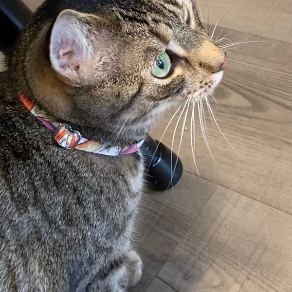 Cat Chef Collar Dog Food Cat Collar Vegetable Dog Collar Cooking Cat ...