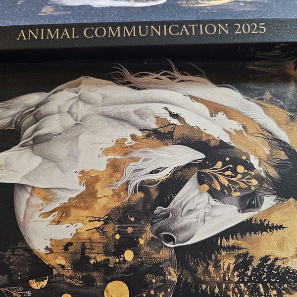 Mermaid Journal, Personalized Sea Princess Notebook, Mermaid Gift Art ...